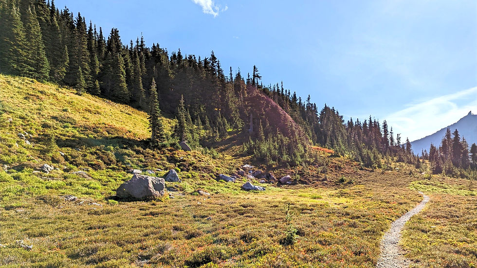The Wild Compiled: Backpacking the Northern Loop in Mount Rainier ...