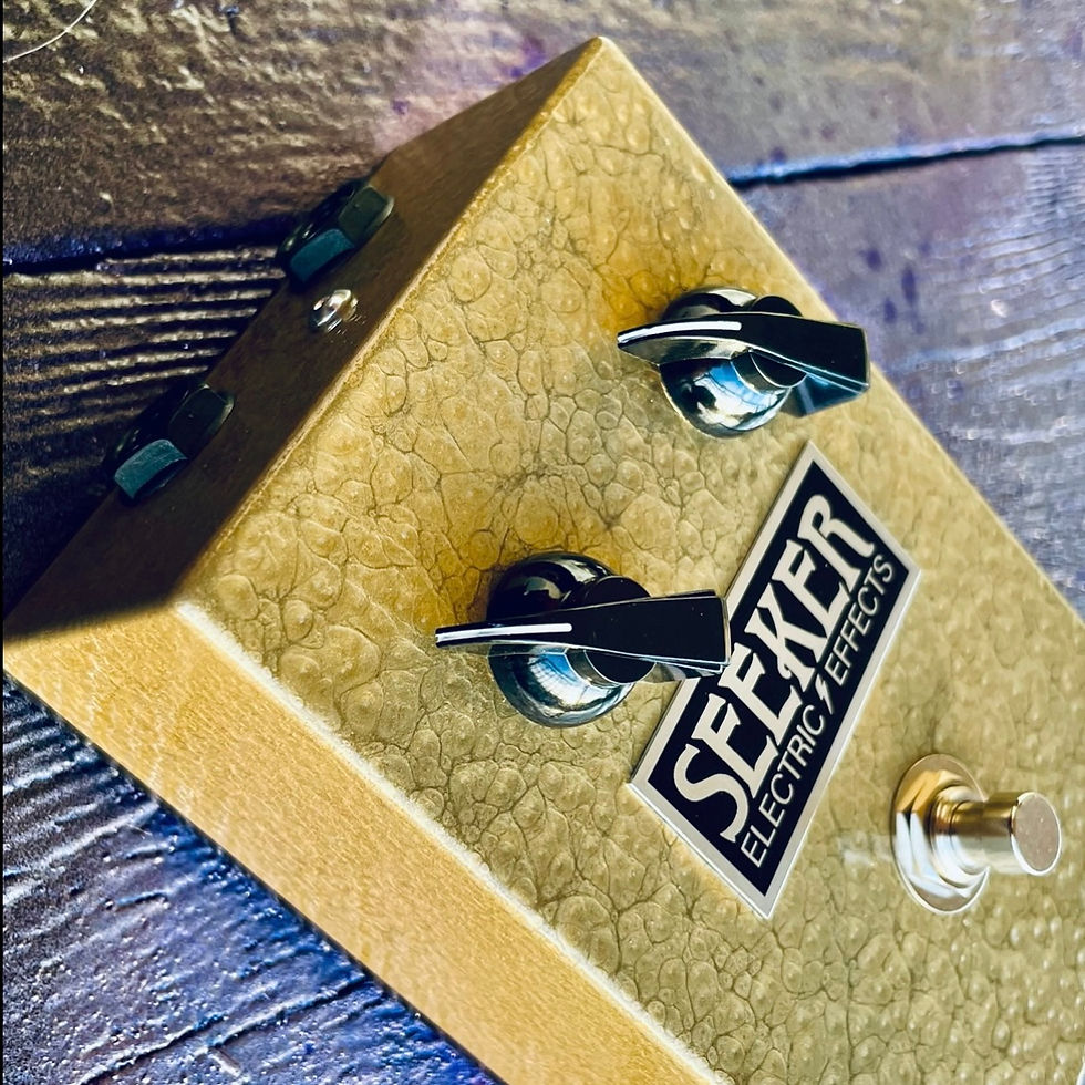 Modern Custom Series | Seeker Electric FX