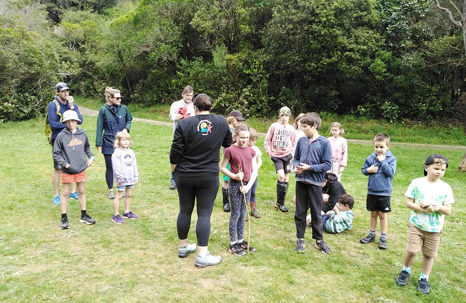 Moko Kākāriki - Green Gecko | Envirohub