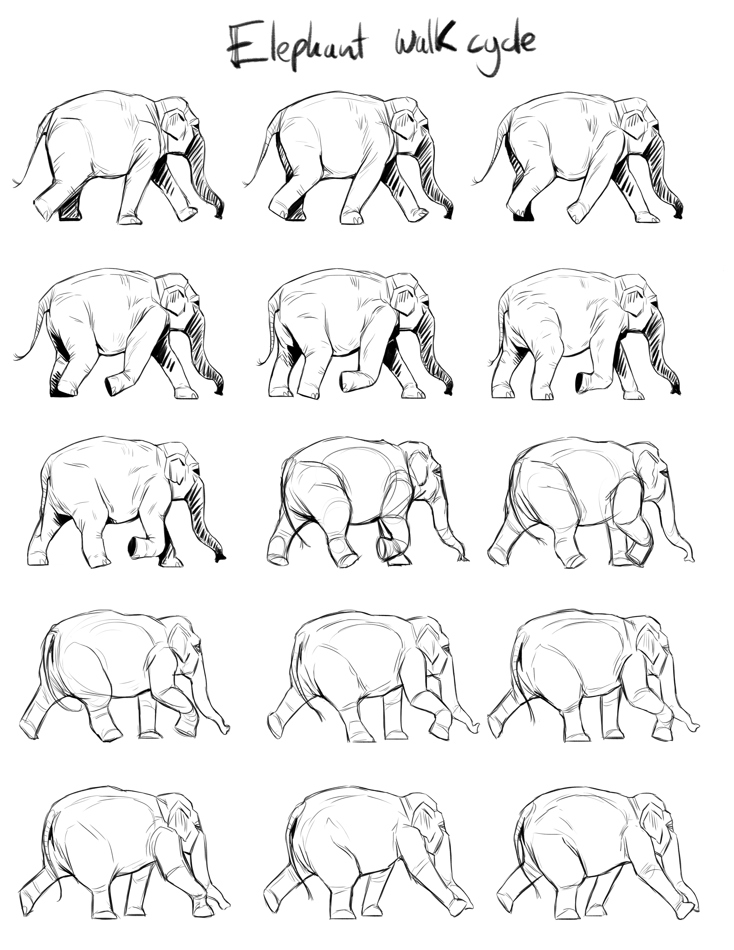 Elephant Walk Cycle Learning Flash CS6: Elephant Walk Cycle Animation