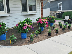 Landscape and Snow Blog | Pacocha Landscaping Services