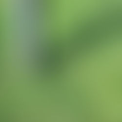 Landscape and Snow Blog | Pacocha Landscaping Services