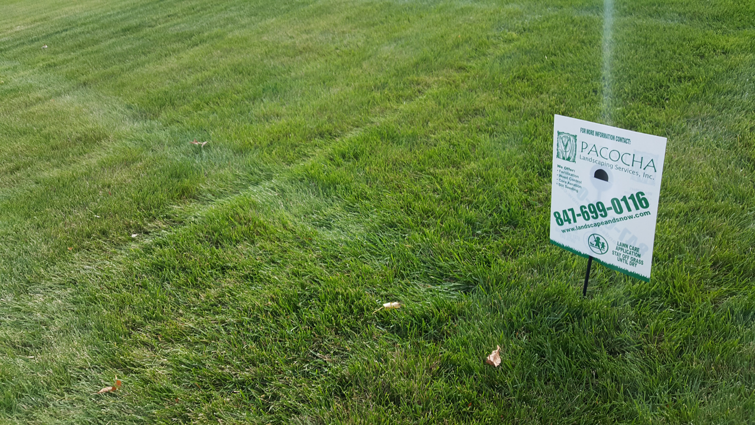 Enhancing Your Lawn and Landscape with Integrated Pest Management (IPM)