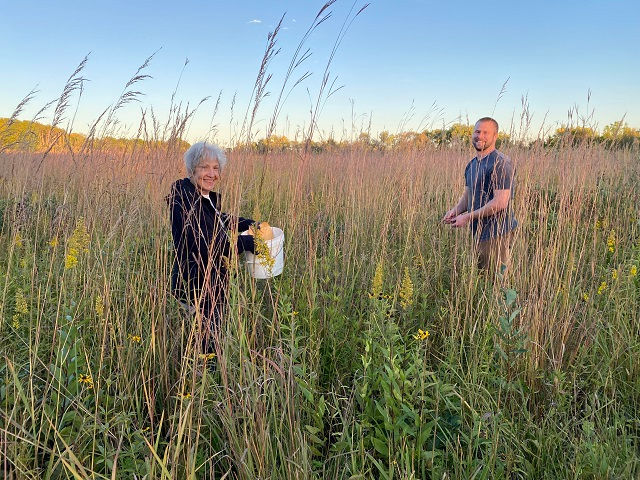 Harvesting Seeds for Native Prairie Restoration | DCMGV