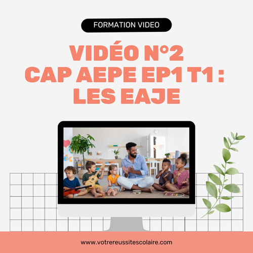 N°2 Vidéo : CAP AEPE EP1 : T1-1 Les EAJE | V. Réussite Scolaire