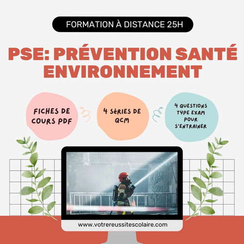 FORMATION PSE PRÉVENTION SANTÉ ENVIRONNEMENT au CAP | V. Réussite Scolaire