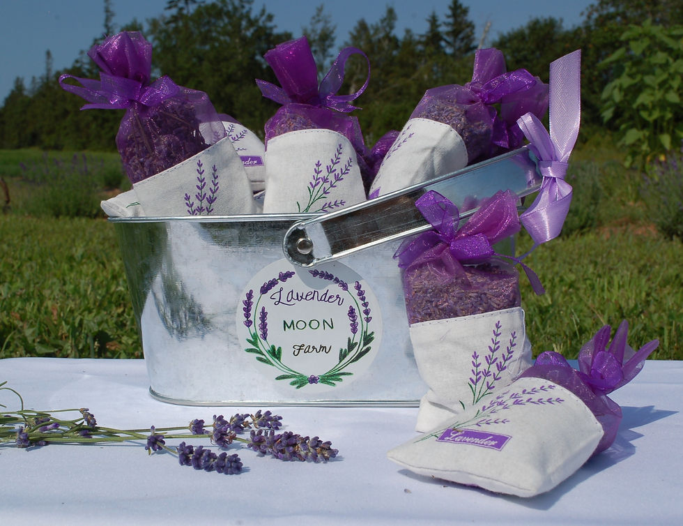 Handcrafted Lavender Products Lavender Fields | Lavender Moon Farm | Malden