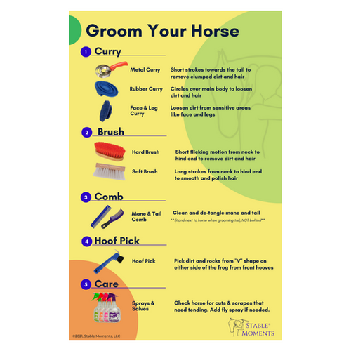 Grooming Poster | Stable Moments