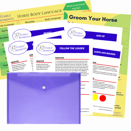 Activities Pack | Stable Moments