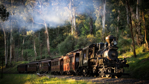 Steam Train And Forest | Picture World