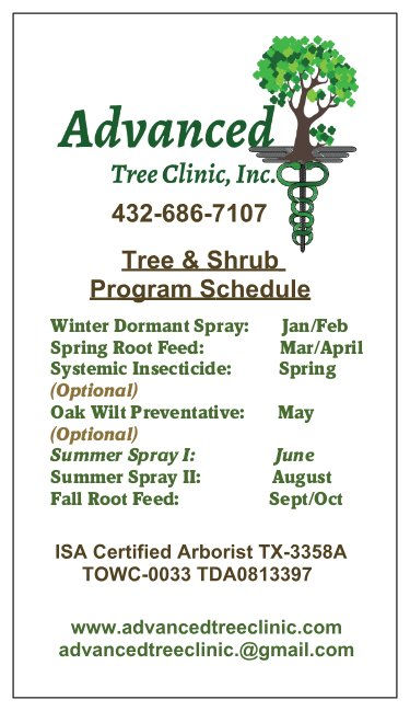 Home | Advanced Tree Clinic