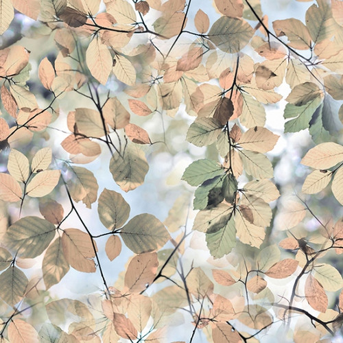 Serene Daydream - Autumn by Hoffman Fabrics | On The Bias Designs