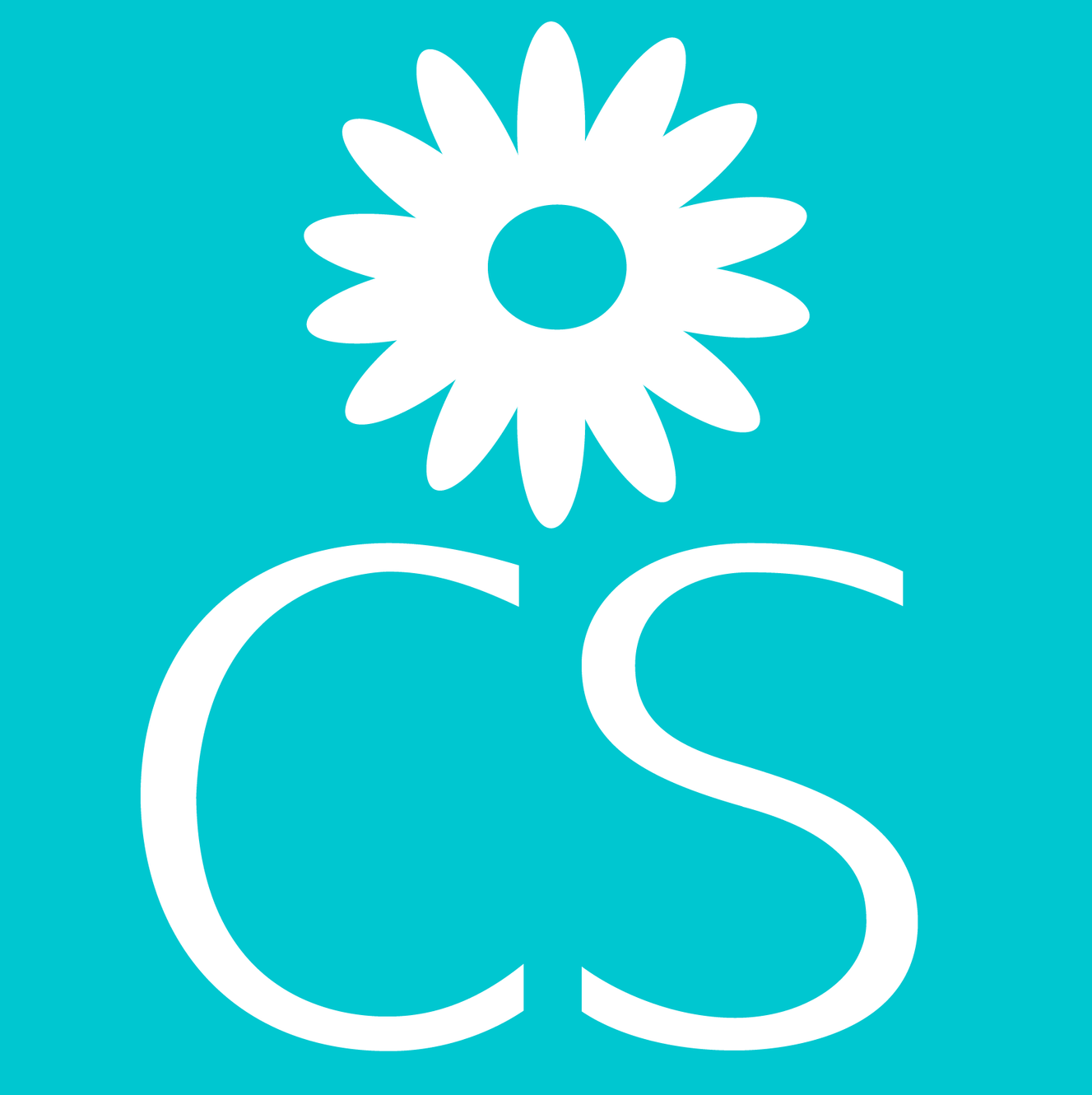 Cindy Slater Design | author services book cover design