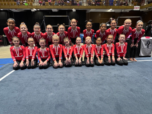 Team | Gymnastics | SGA Gymnastics