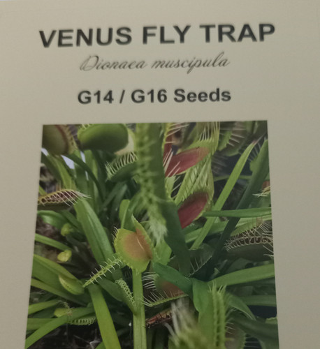 Venus Fly Trap Seeds - G14 x G16 (25 seeds per pkt) | Strange World Carniv