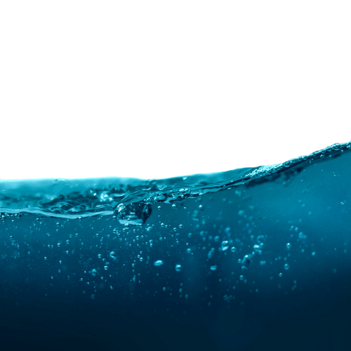 Natural Sea Water (Collection Only) | Marine Spec