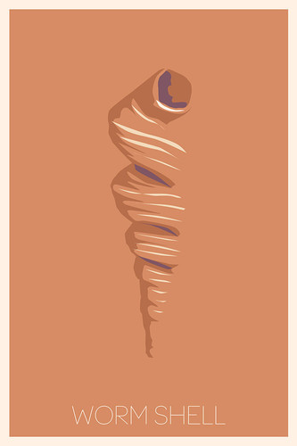 Worm Shell | stevethomasart