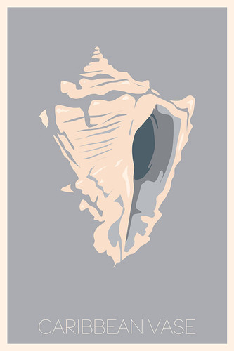Caribbean Vase shell | stevethomasart