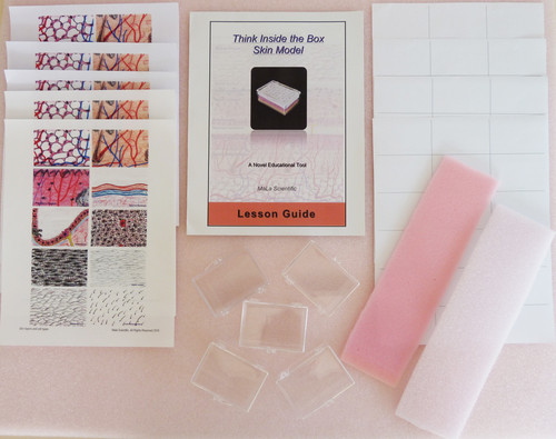 Cat#501 Think Inside the Box: Human Skin Kit‘ | My Site 2