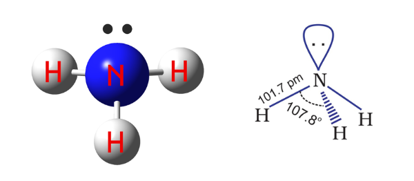 Ammonia (NH3); How to Draw Lewis Structure, Molecular Geometry ...
