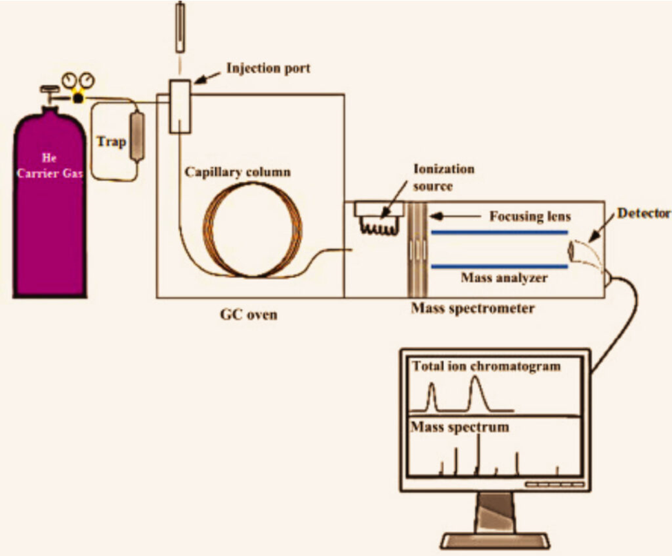 GC-MS; Working Principle, Instrumentations, And Applications