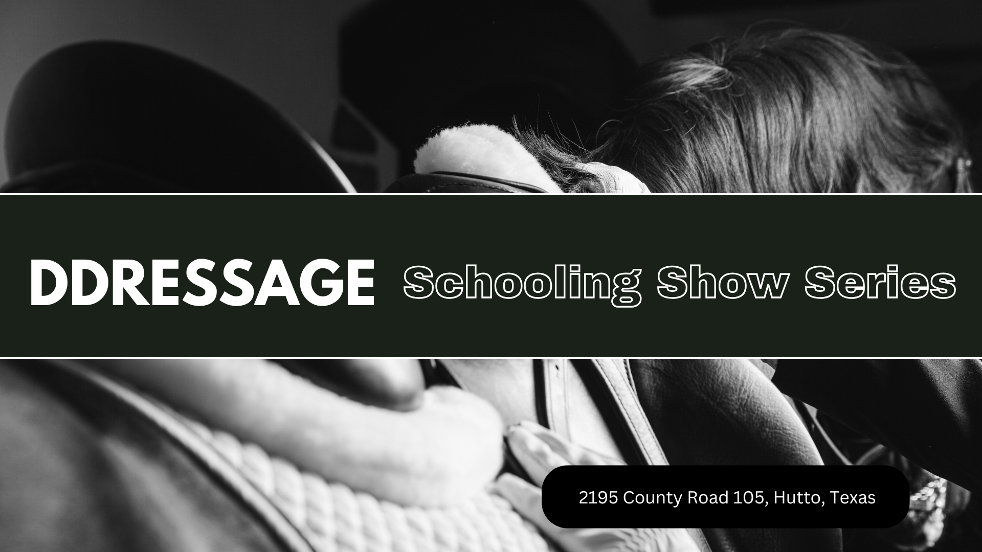 DDressage Schooling Show Series | Deirdre Dressage
