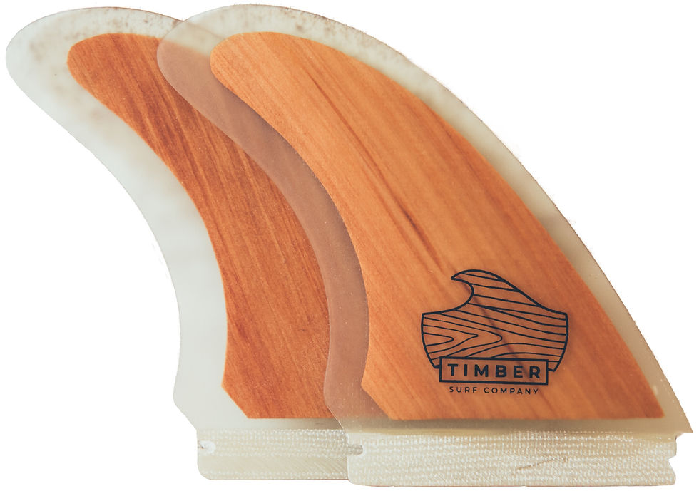 Timber Surf Co | Custom Eco Friendly Wooden Surfboard