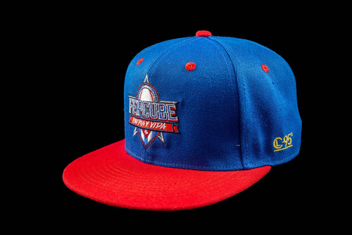 Dream team practice hat by CL95 | cl95inc.com
