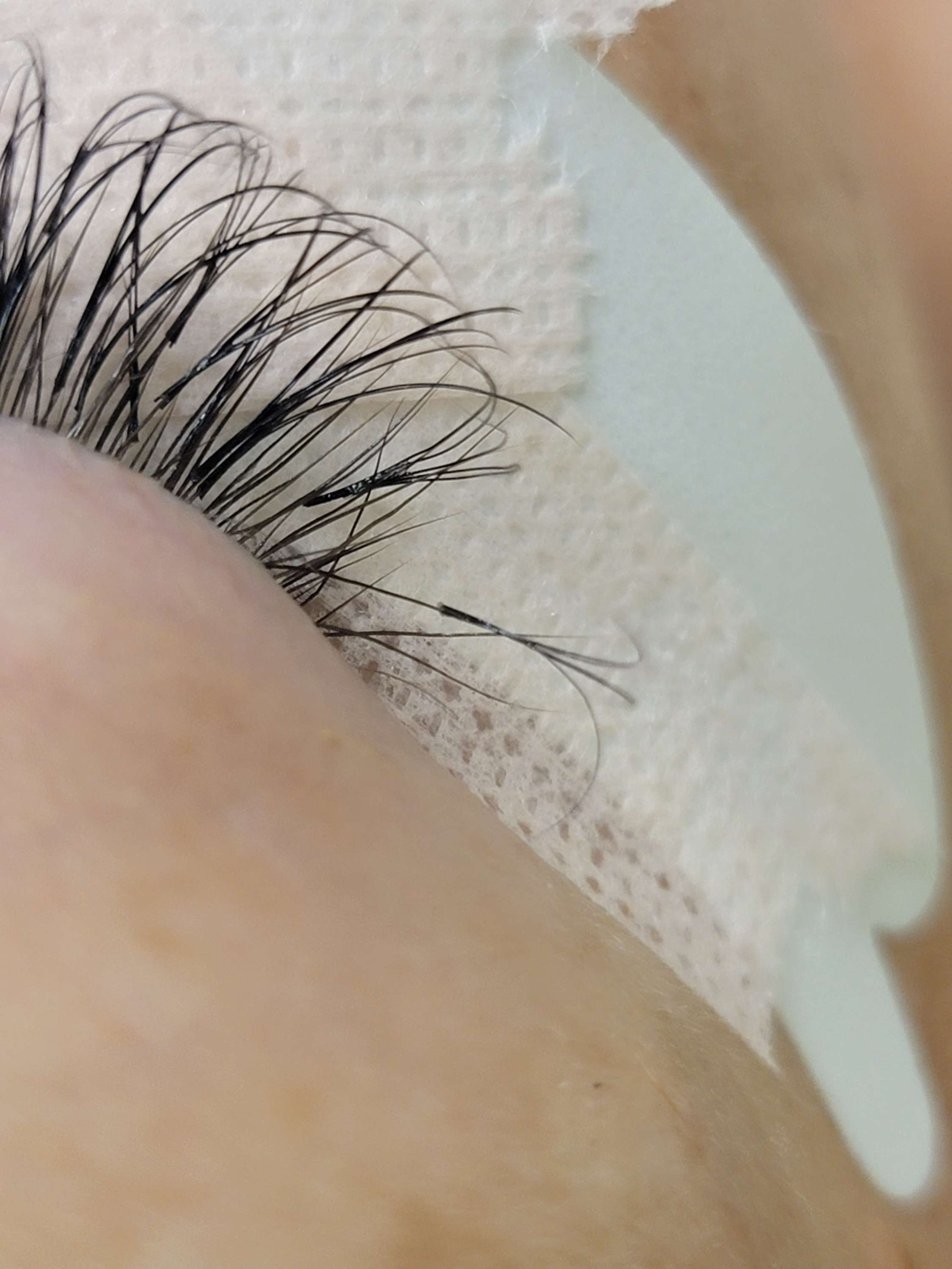 The Science Behind Eyelash Extensions: How They're Applied and Why They ...