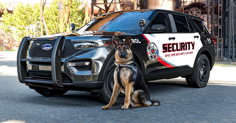 Calgary Security Services - Security Guard Company in Calgary