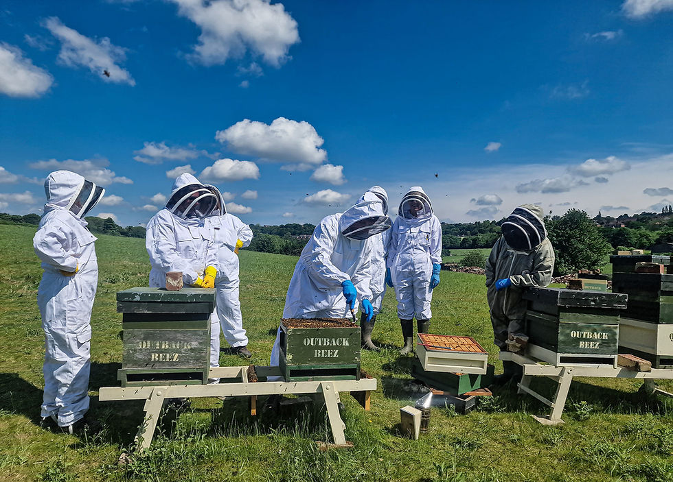 Beekeeping Experience | Outback Beez