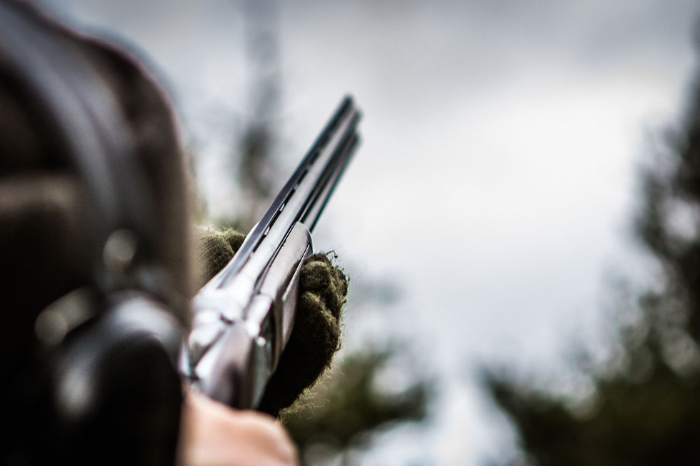 DRC Imports | Falcon Ammunition | Corsivia Clay Targets