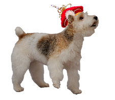 About | Warren Edwards