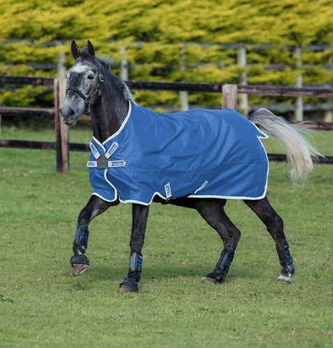 HWI Amigo Hero 900 Disc Front 50g - CLOSEOUT | DK Tack and Supply