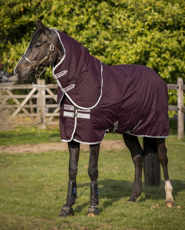 HWI Amigo Hero Ripstop Plus 200g Turnout - CLOSEOUT | DK Tack and Supply