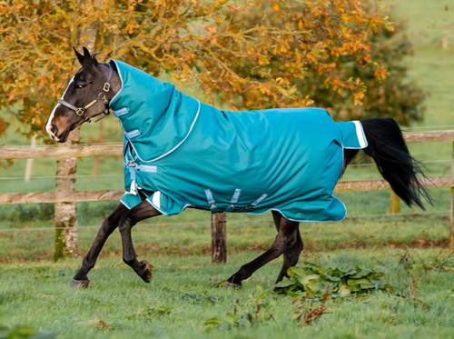 HWI Amigo Bravo 12 Plus 400g | DK Tack and Supply