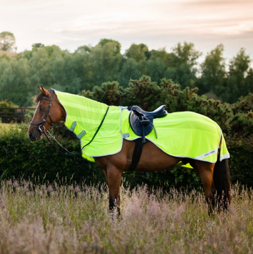HWI Amigo Flyrider - CLOSEOUT | DK Tack and Supply