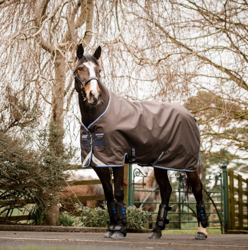 HWI Amigo Bravo 12 Pony 0g - CLOSEOUT | DK Tack and Supply