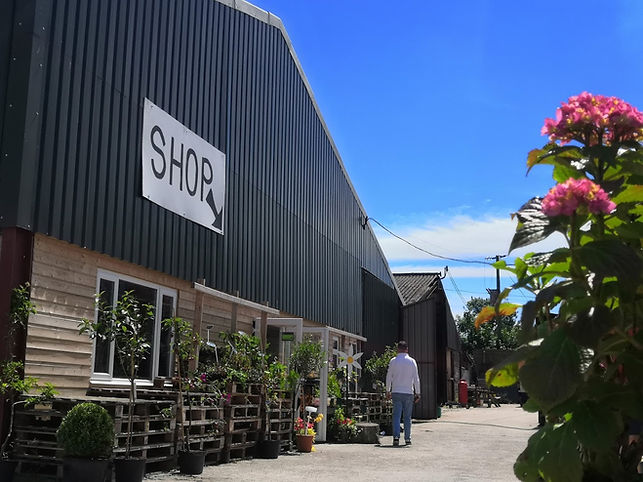 Home | Georges Garden | Your Online Country Store