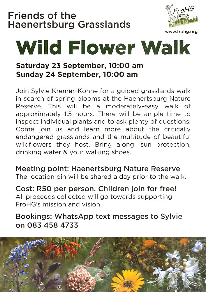 Wild Flower Walk