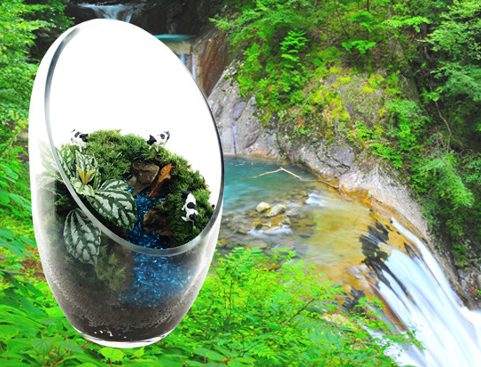 J.GREEN｜園芸用品｜JUN Company Limited