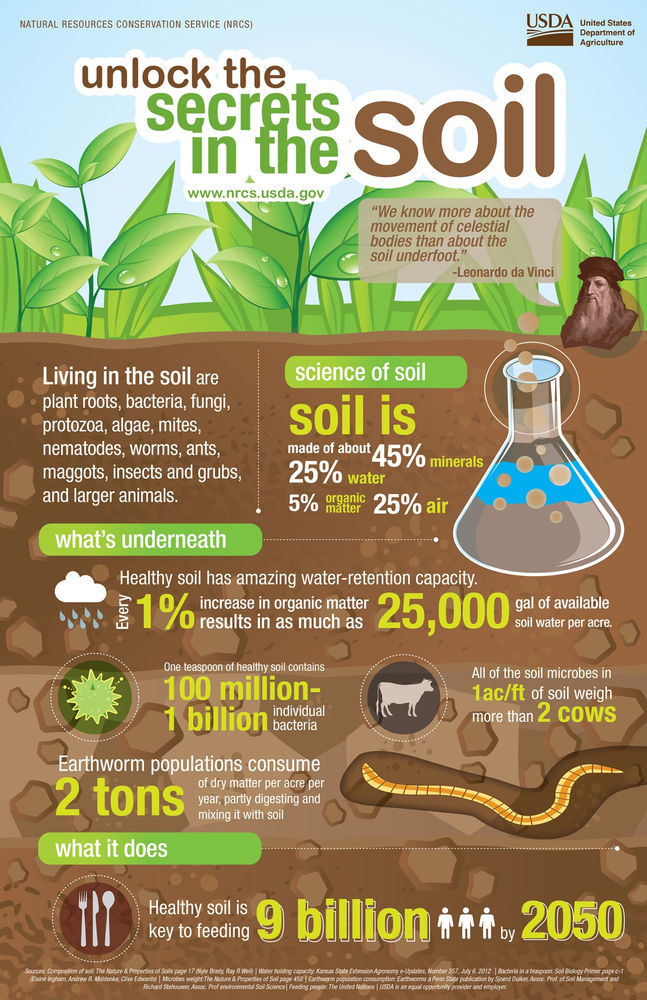World Soil Day