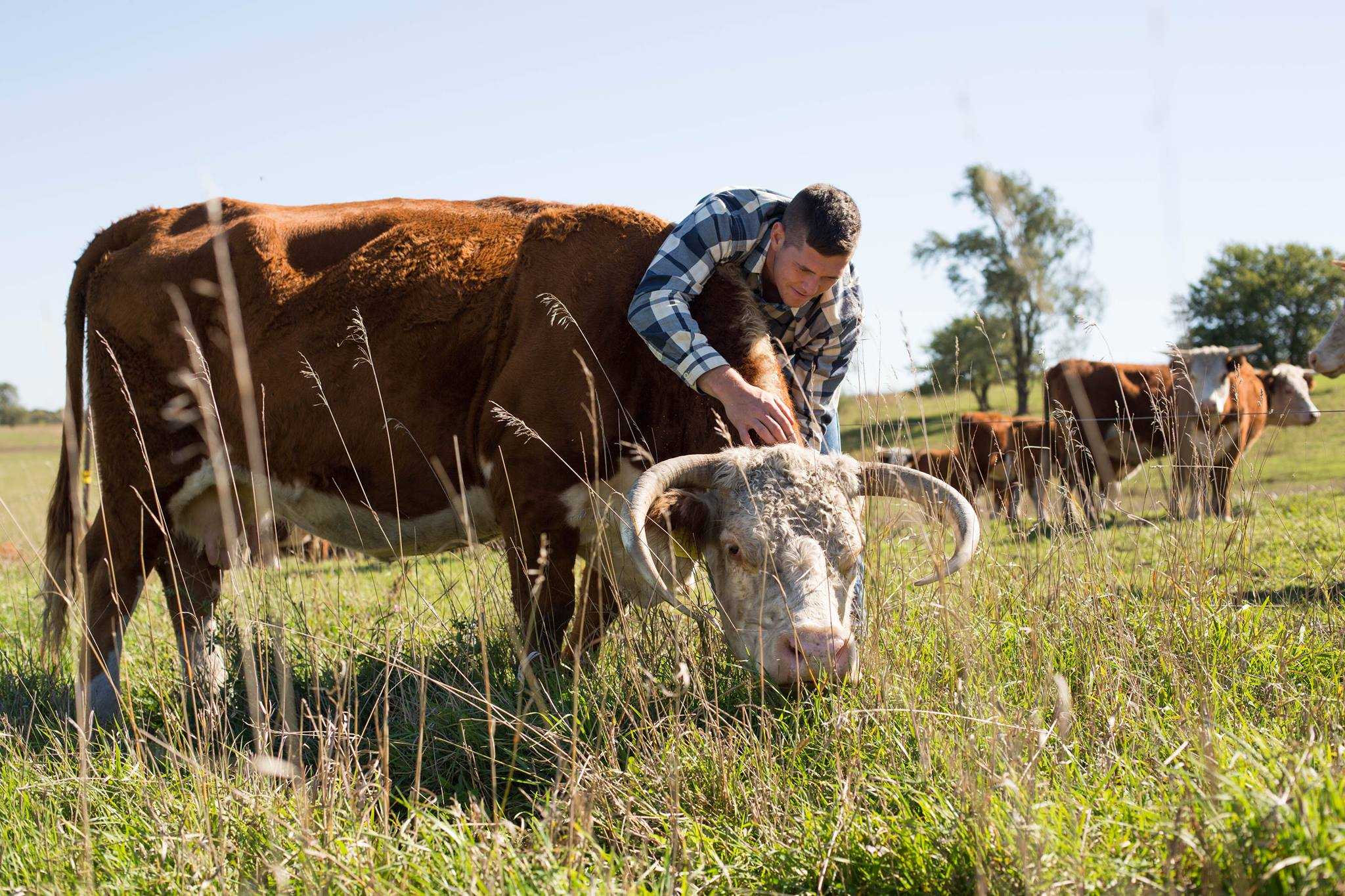 Local Grass Fed Beef | Iowa | Grand View Beef