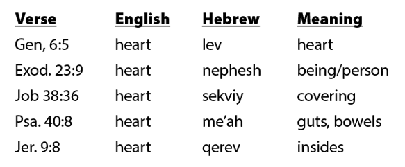 Hebrew 101 | Hebrew-linguistics
