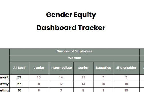 Gender Equity Dashboard Tracker | The Thoughtful Co.