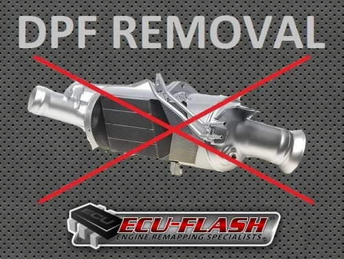 Professional EGR DPF Remover 2016 v3.0 + Keygen | website
