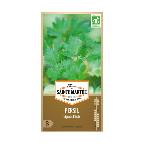GRAINES PERSIL GIGANTE D'ITALIA BIO | boutique-EVL