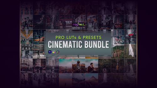 21000+ Pro LUTs & Presets Combo Bundle Vol. 1 | ProWiz Bundleshttps://static.wixstatic.com/media ...