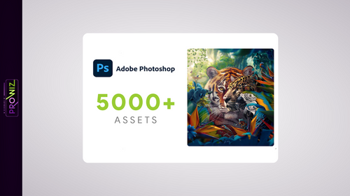 5000+ Adobe Photoshop Assets 1.0 | ProWiz Bundleshttps://static ...