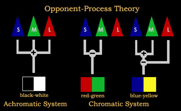 Opponent-Process Theory